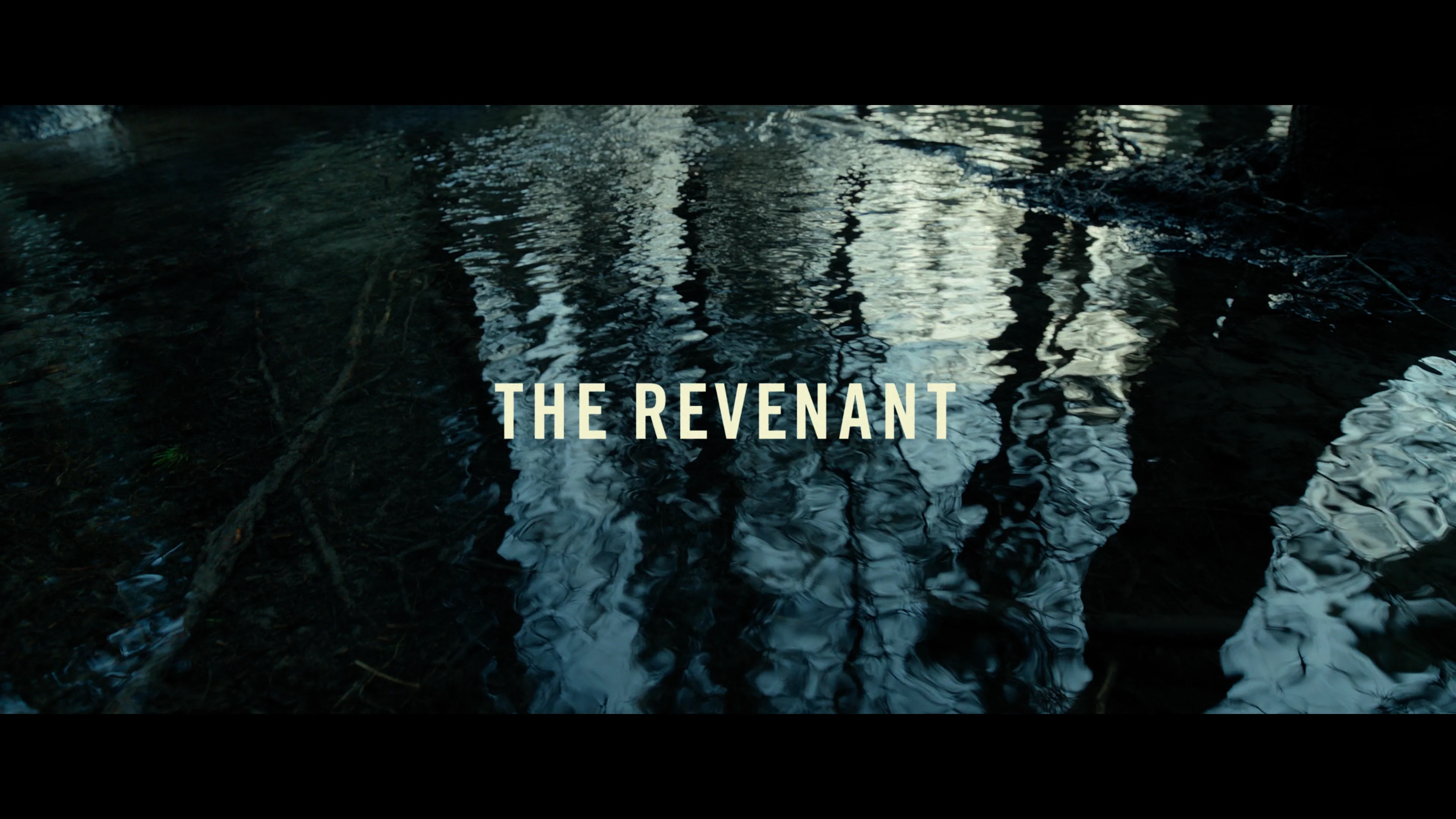 The Revenant (2015) - Film Stills | Scene Still
