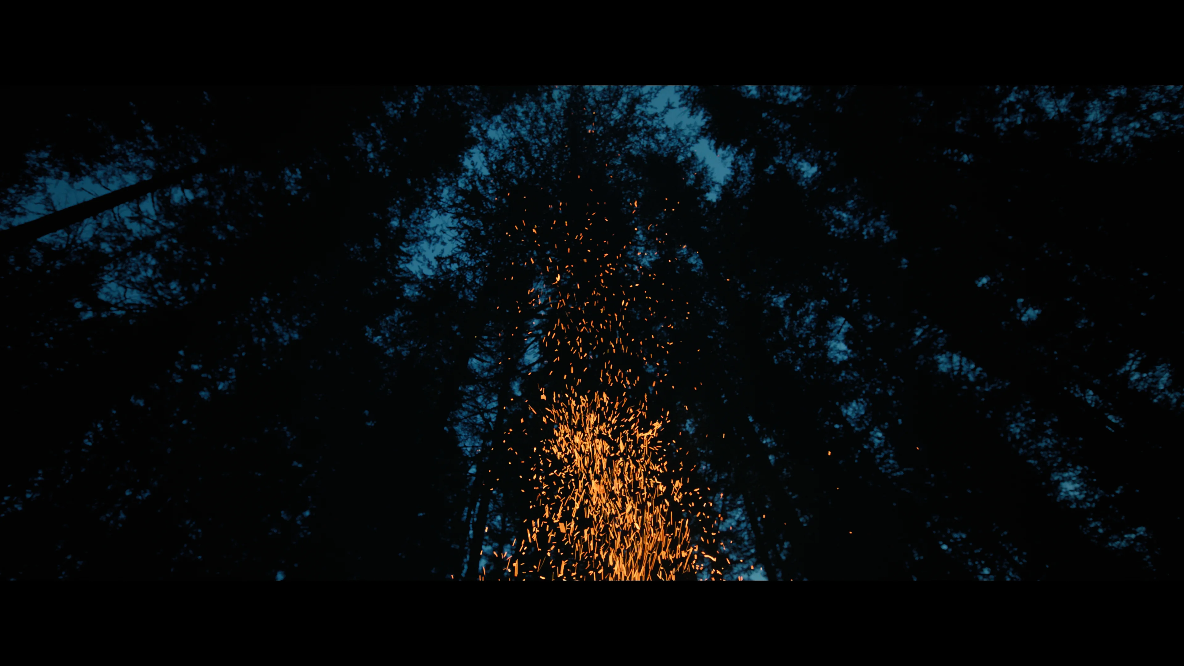 The Revenant (2015) - Film Stills | Scene Still